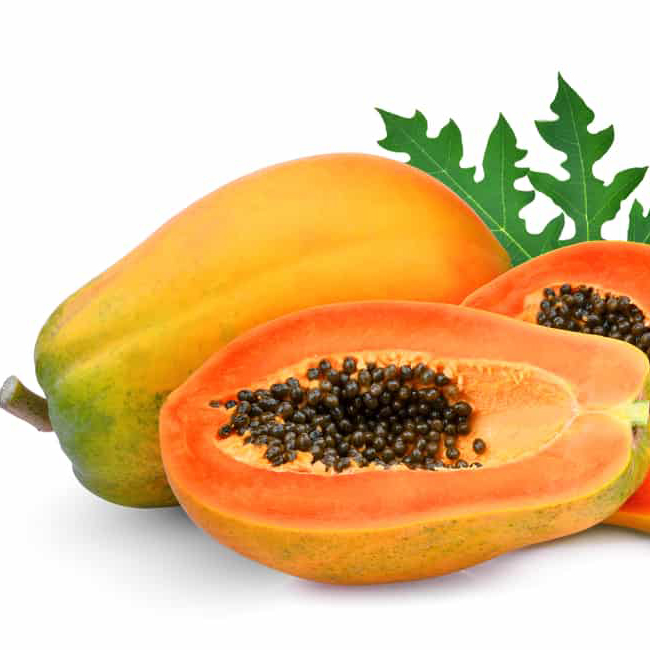 EXPORT – Star Fruit Company